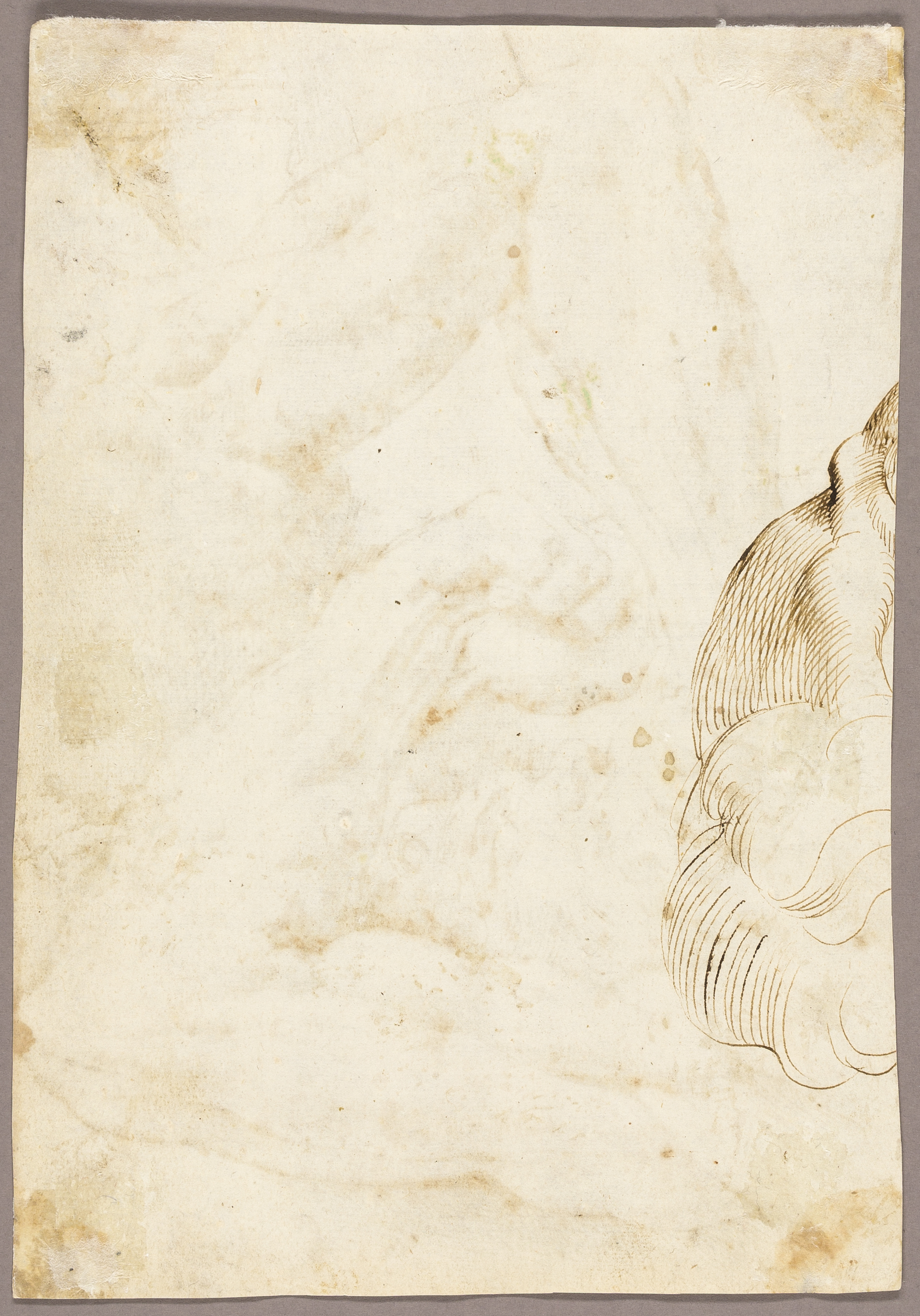 Peter Paul RUBENS | A Sheet of Anatomical Studies: A Left Forearm in ...